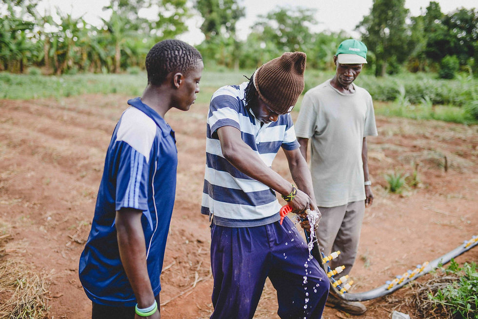In Photos: Drip Irrigation in Uganda | GOD International Global Voice Blog