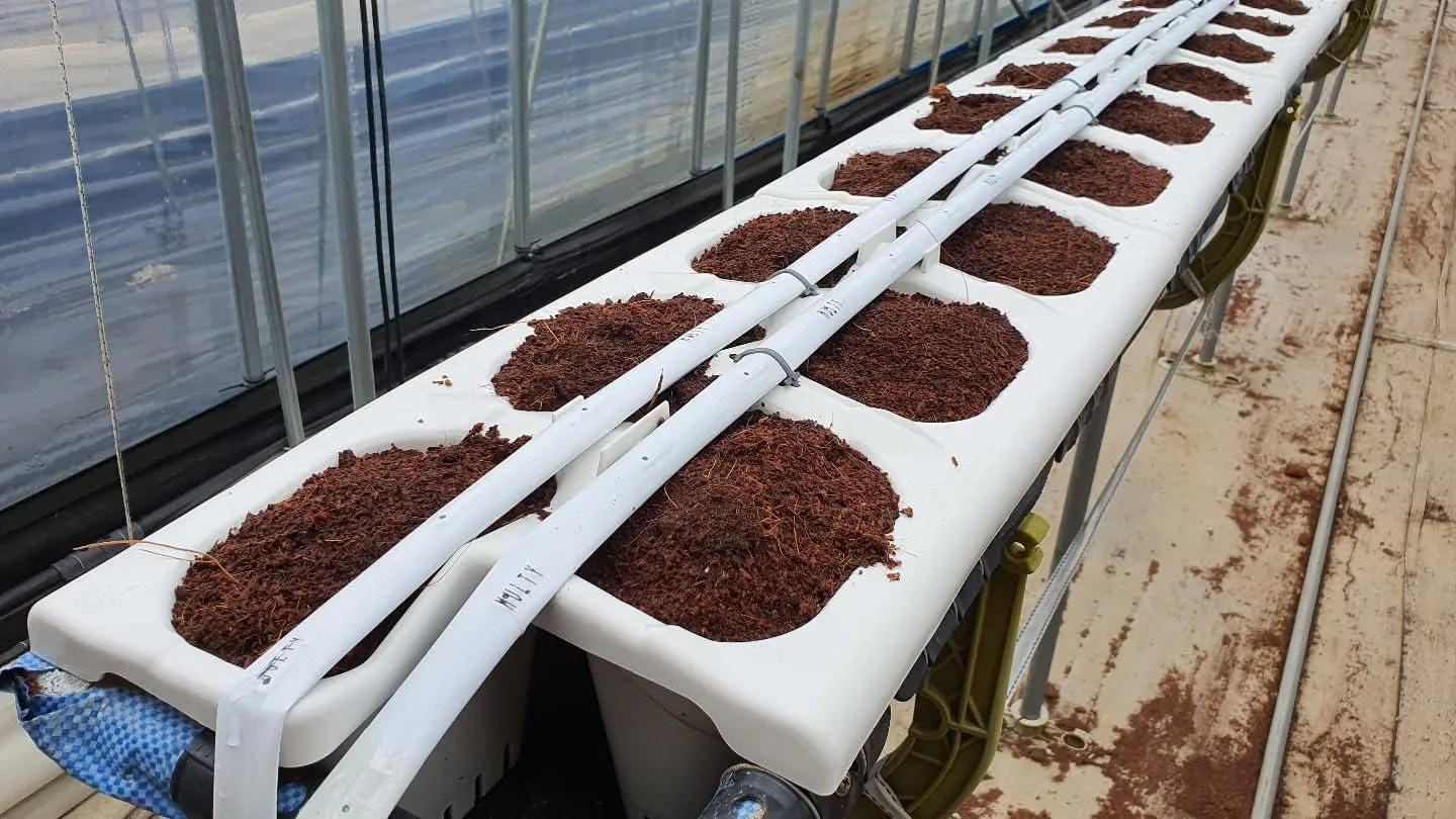 カタツムリポット：N-A6(10個) | ワールド・アグリ オンラインショップ