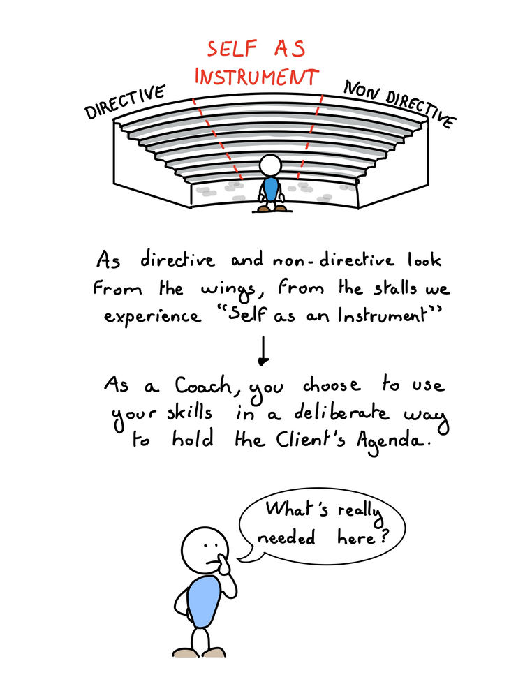 Directive or non-directive coaching, that is the question?