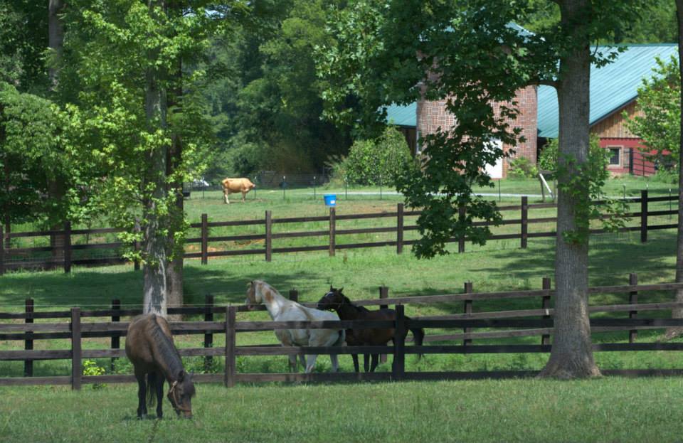 Facility | terranovafarm