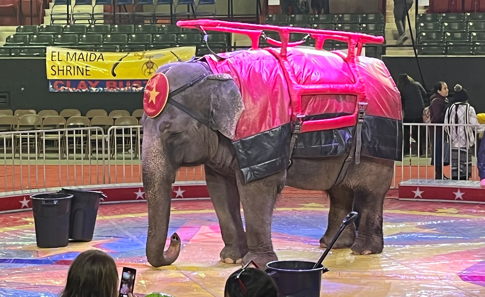 Donate to End Trophy Hunting!