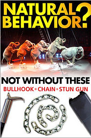 Circus Protest Poster Downloads