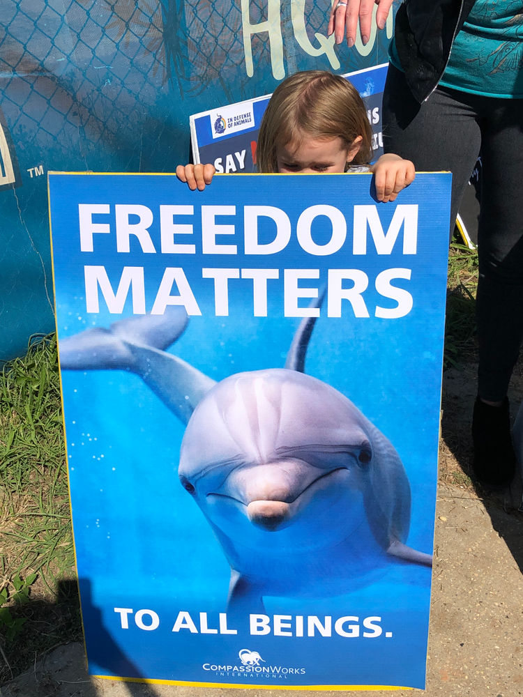Anti-dolphin captivity campaign in Gulfport, MS