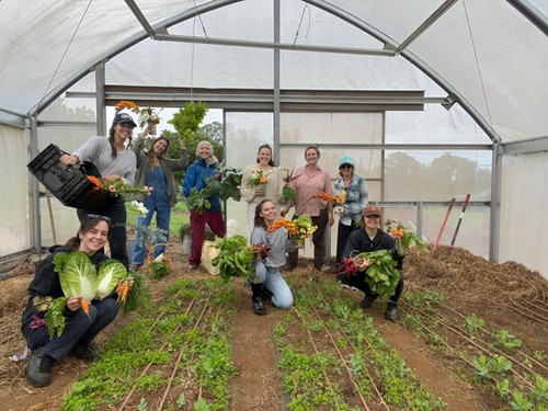 Beginner Gardening Class | Learn to grow your own vegetables and ...