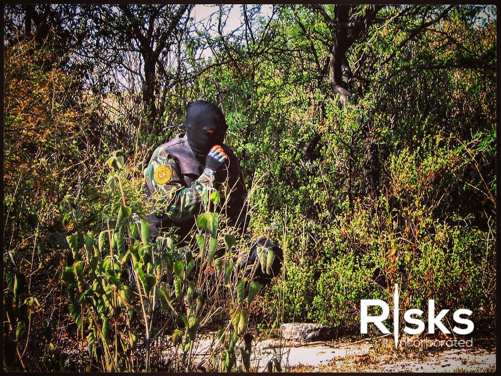 Reconnaissance / RECCE Operations