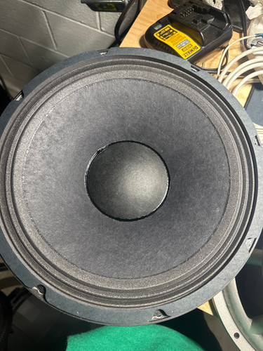 EV DL12BFH 12” Woofer 8 Ohm 300w | Dan Jam LLC