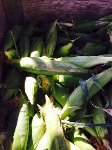 OUR PRODUCE | drapersfarm