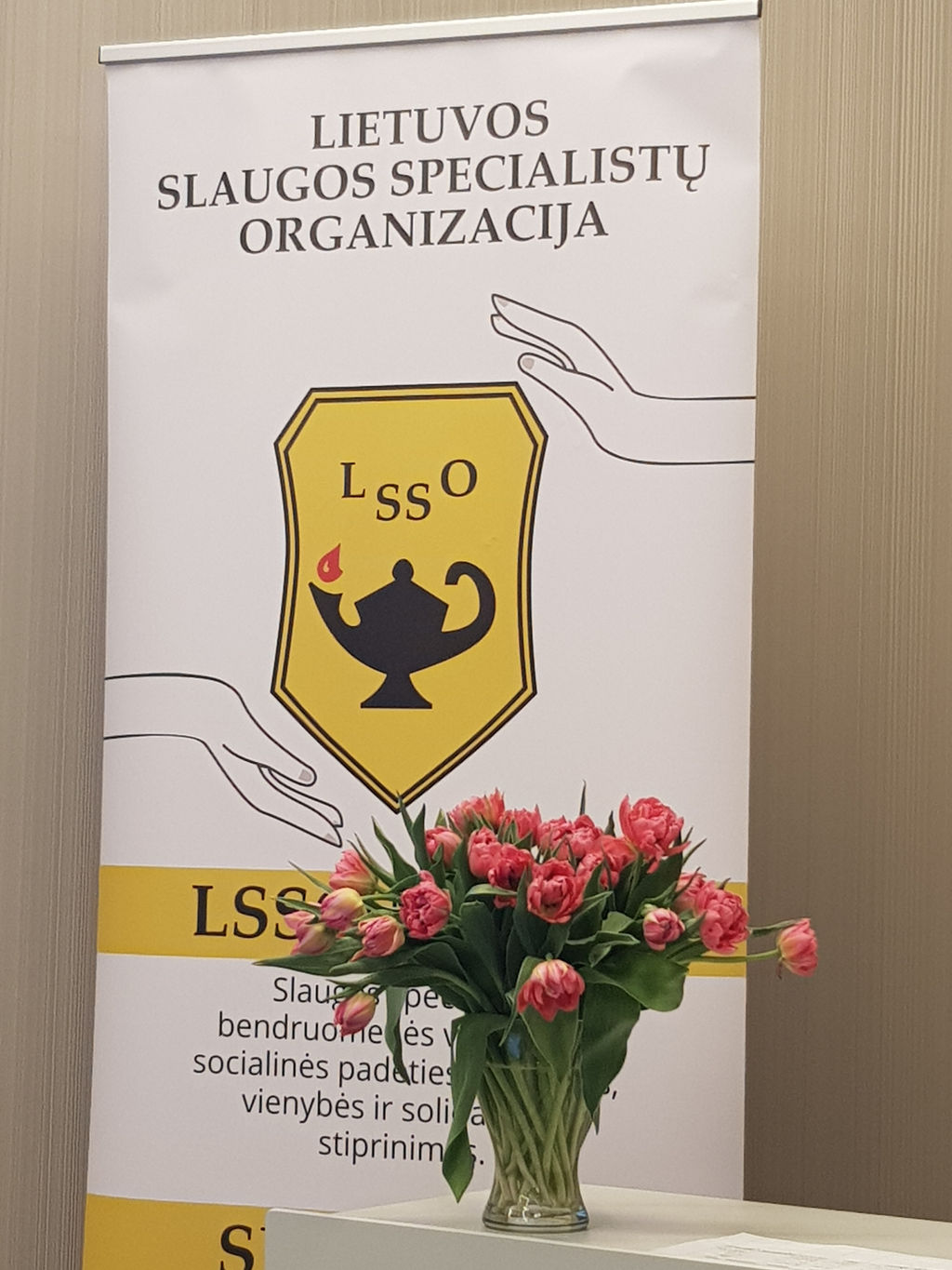 Lietuvos slaugos specialistų organizacija
