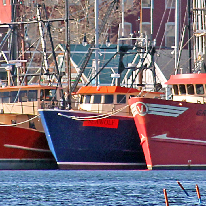 F/V Seawolf - Scallop Vessel | Fleet Fisheries Inc.