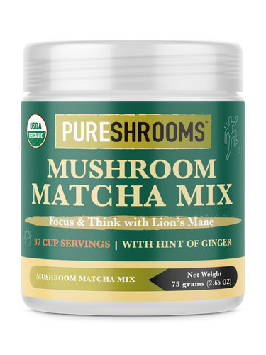 Matcha Mushroom Matcha Green Tea | PureShrooms Tea