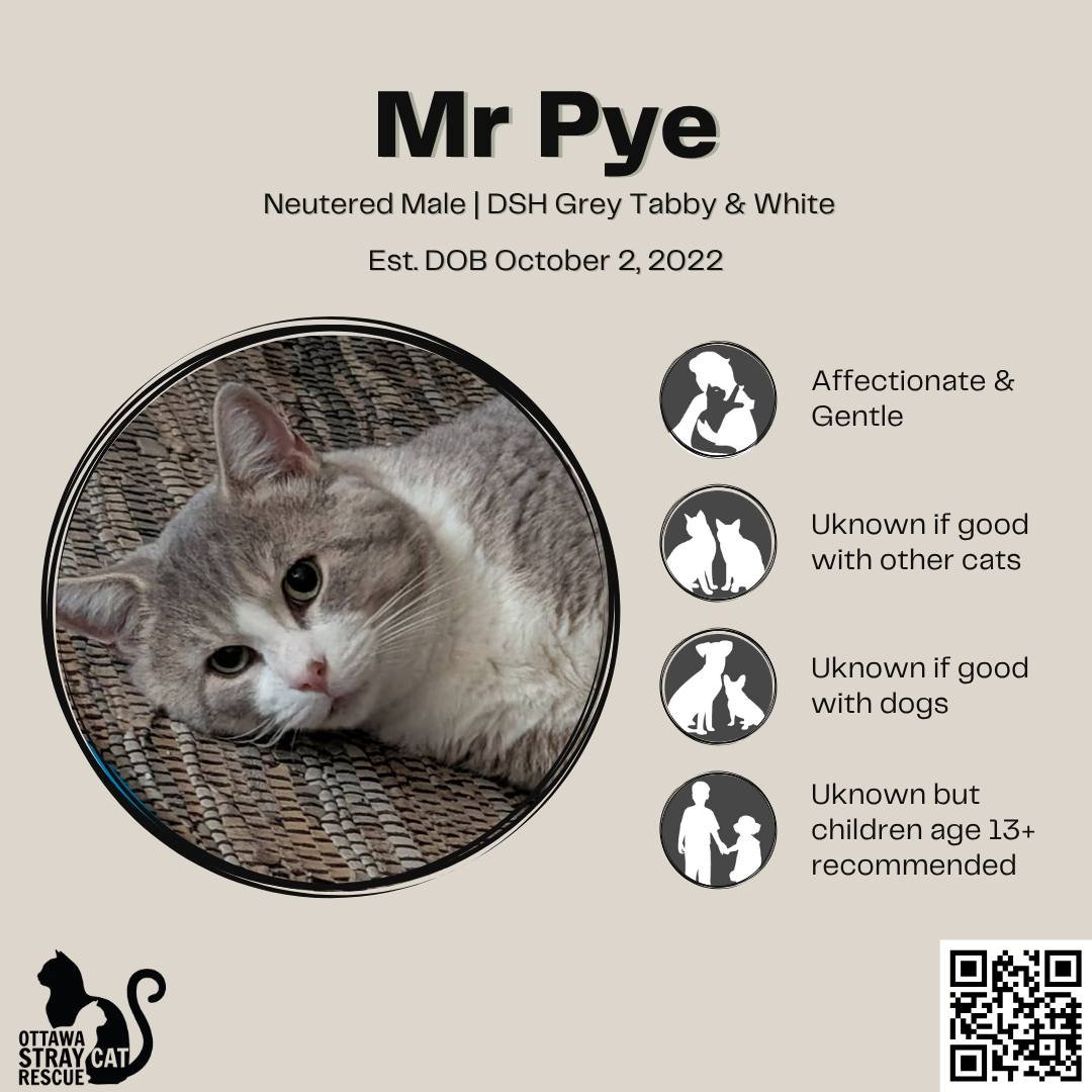 Mr Pye | OSCatR