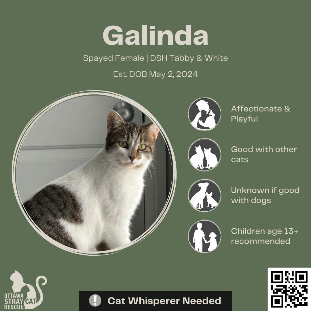 Galinda | OSCatR
