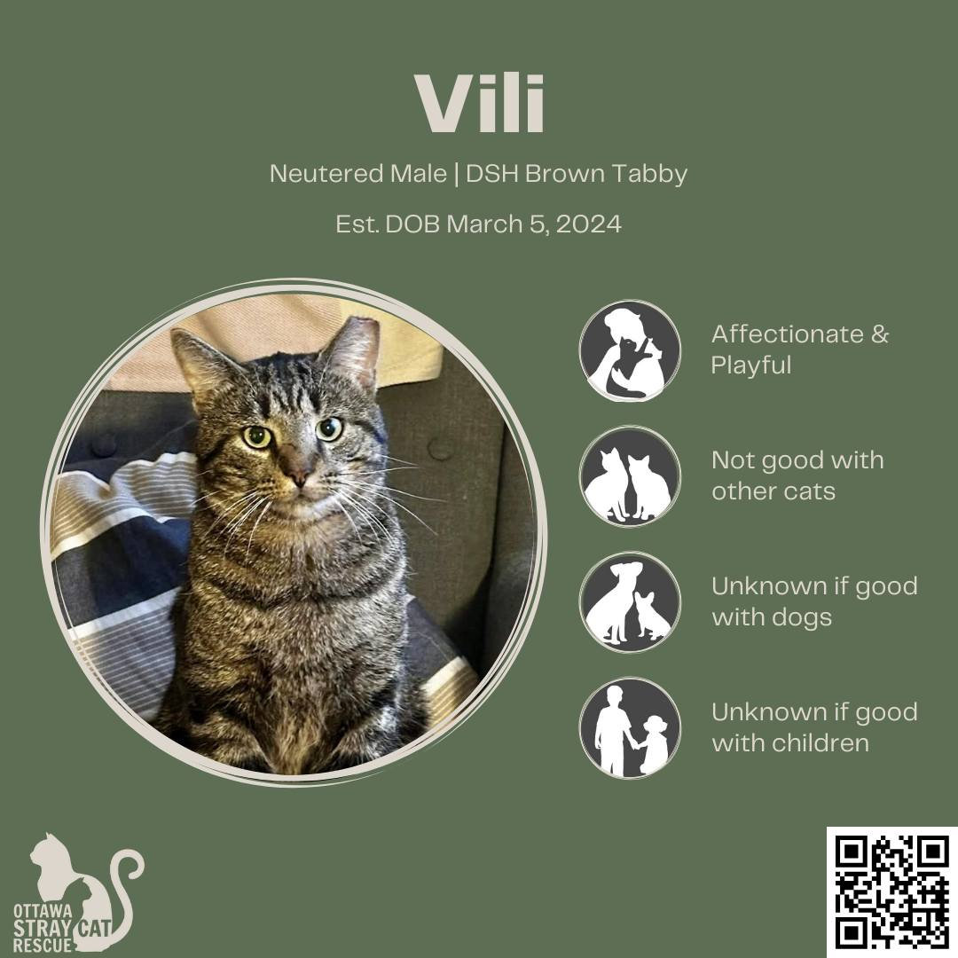 Vili | OSCatR
