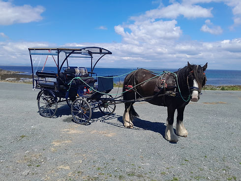 Home | Inis Mor horse carriage tours