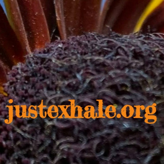 College Opp Thwarted Twice