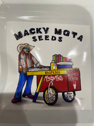 Raspado Man | Beegen's Beans