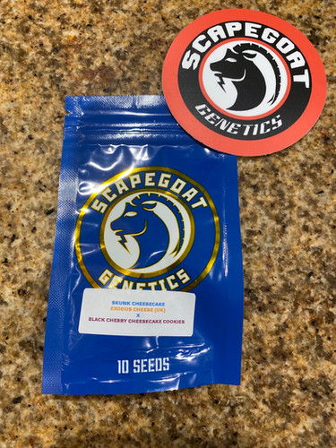 Skunk Cheesecake | Beegen's Beans