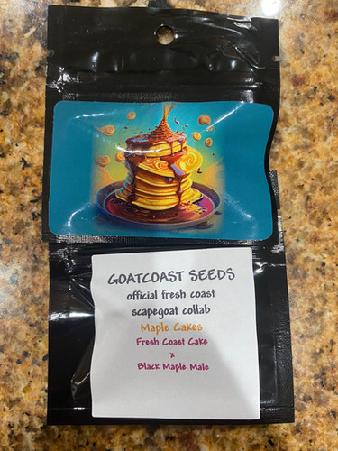 Maple Cakes | Beegen's Beans