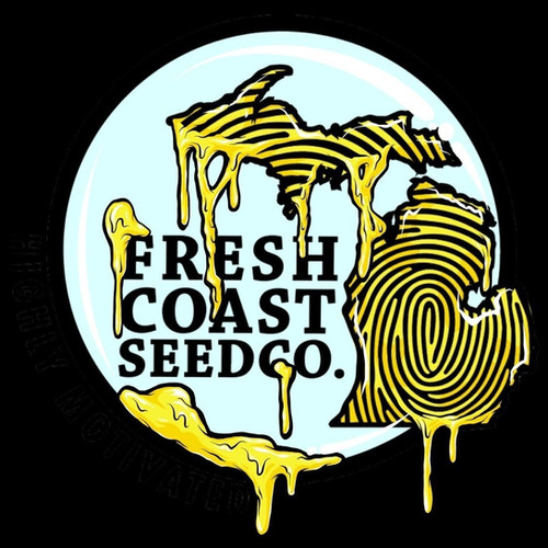 Kool-Aid Kid | Beegen's Beans