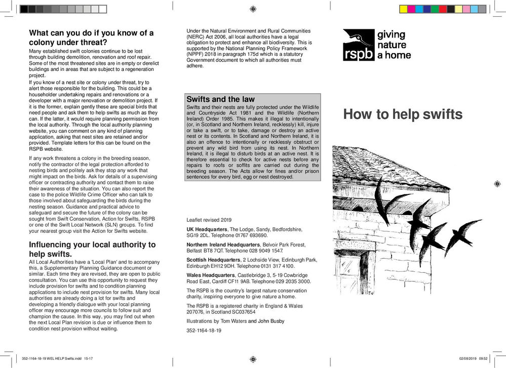 Updated RSPB Swift Leaflet