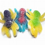 Hairy Spider Gummies | EVN