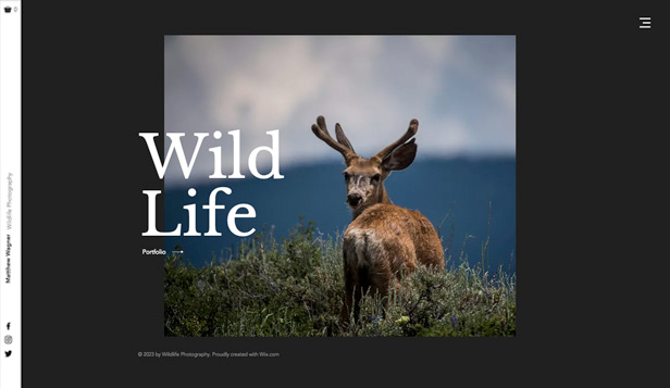Photography Website Templates Wix