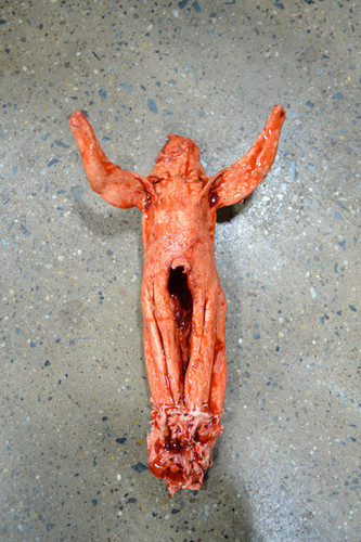 Skinned Rabbit | morbidmonstrosities