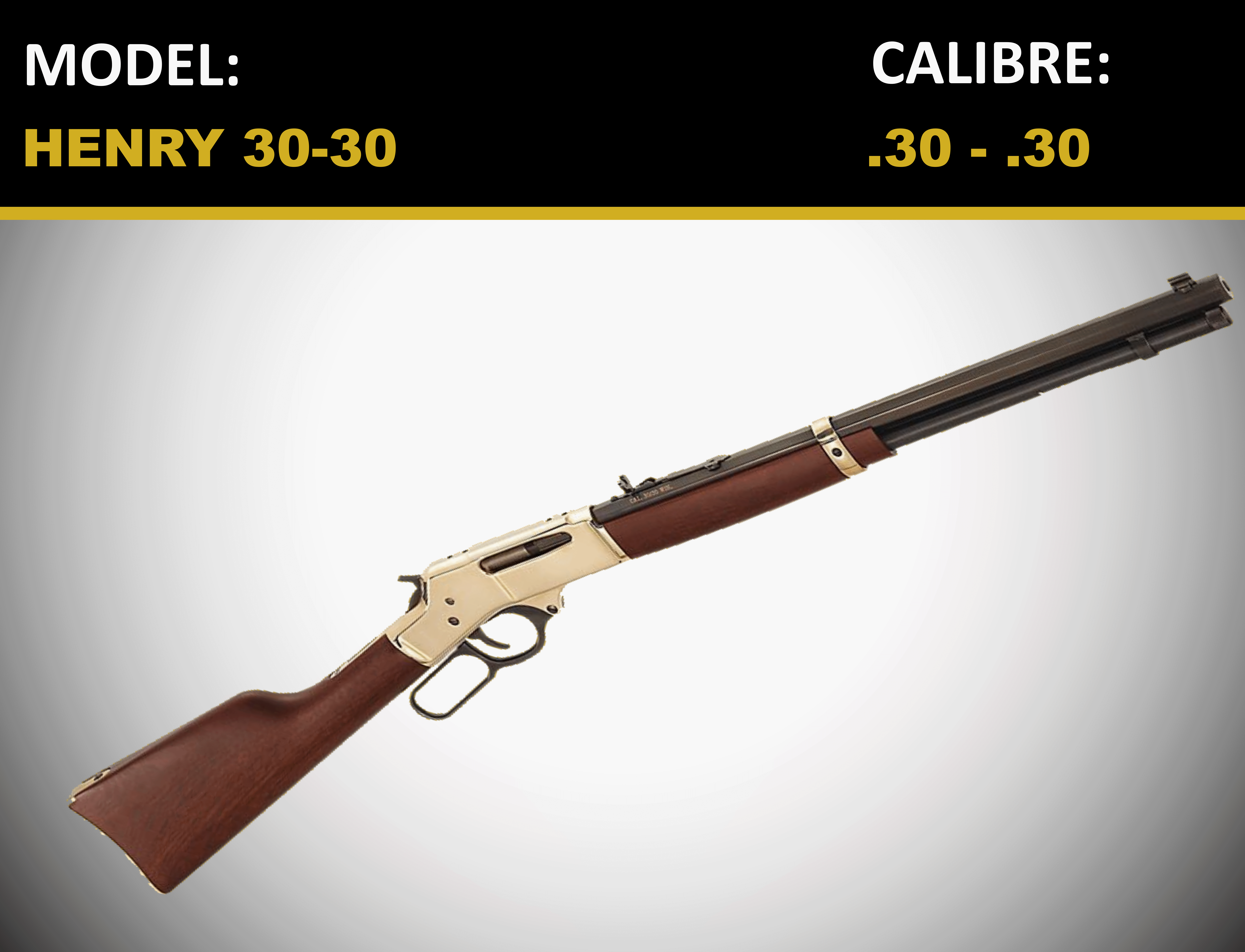 RIFLES | The-Range-Langley