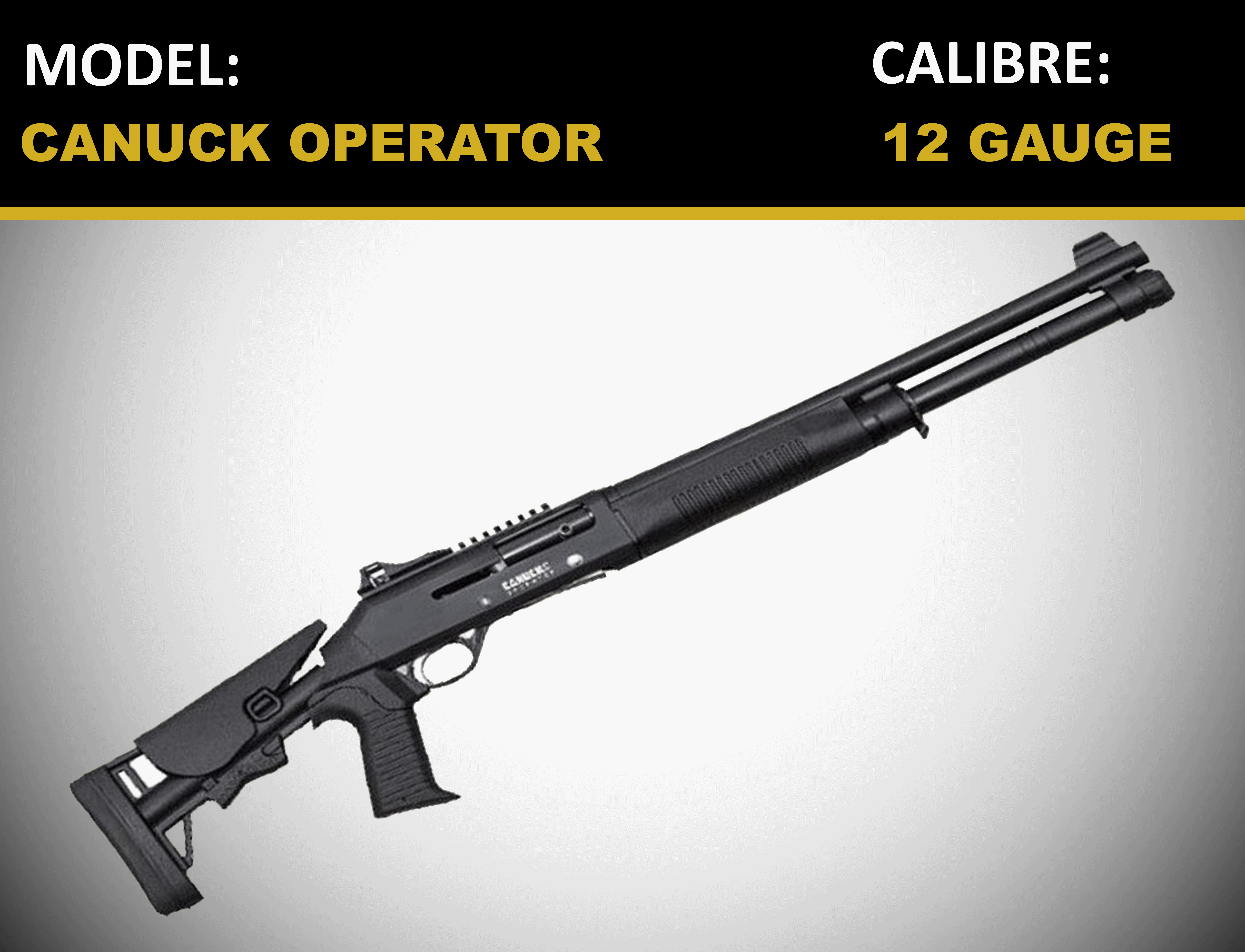 SHOTGUNS | The-Range-Langley