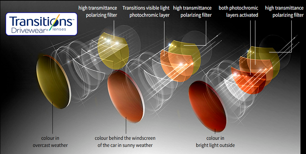 Why Photochromic Lenses Get Darker in the Winter (and What Really ...