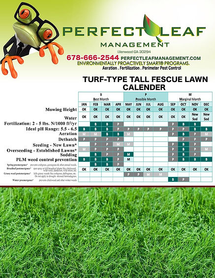 Perfect Leaf Management LLC | Tall Fescue | Atlanta GA