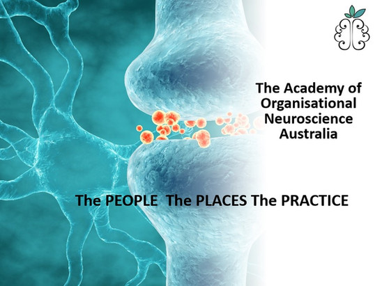 The Academy of Organisational Neuroscience Australia | Dr Judi Newman