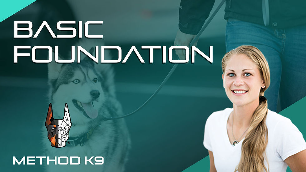 GUIDED ONLINE COURSES | Method K9 Institute