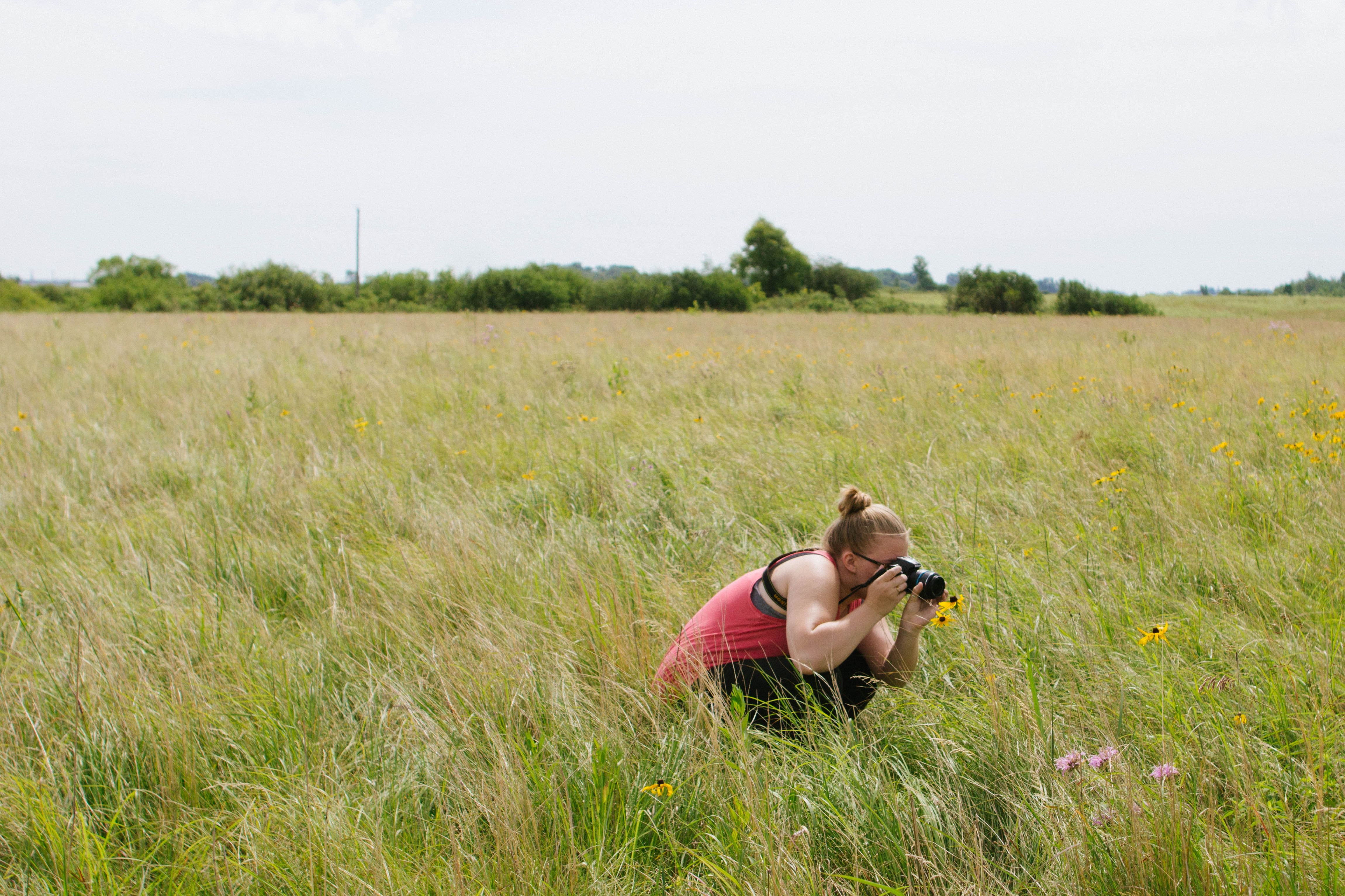 annual bee hunt! | longspur-3