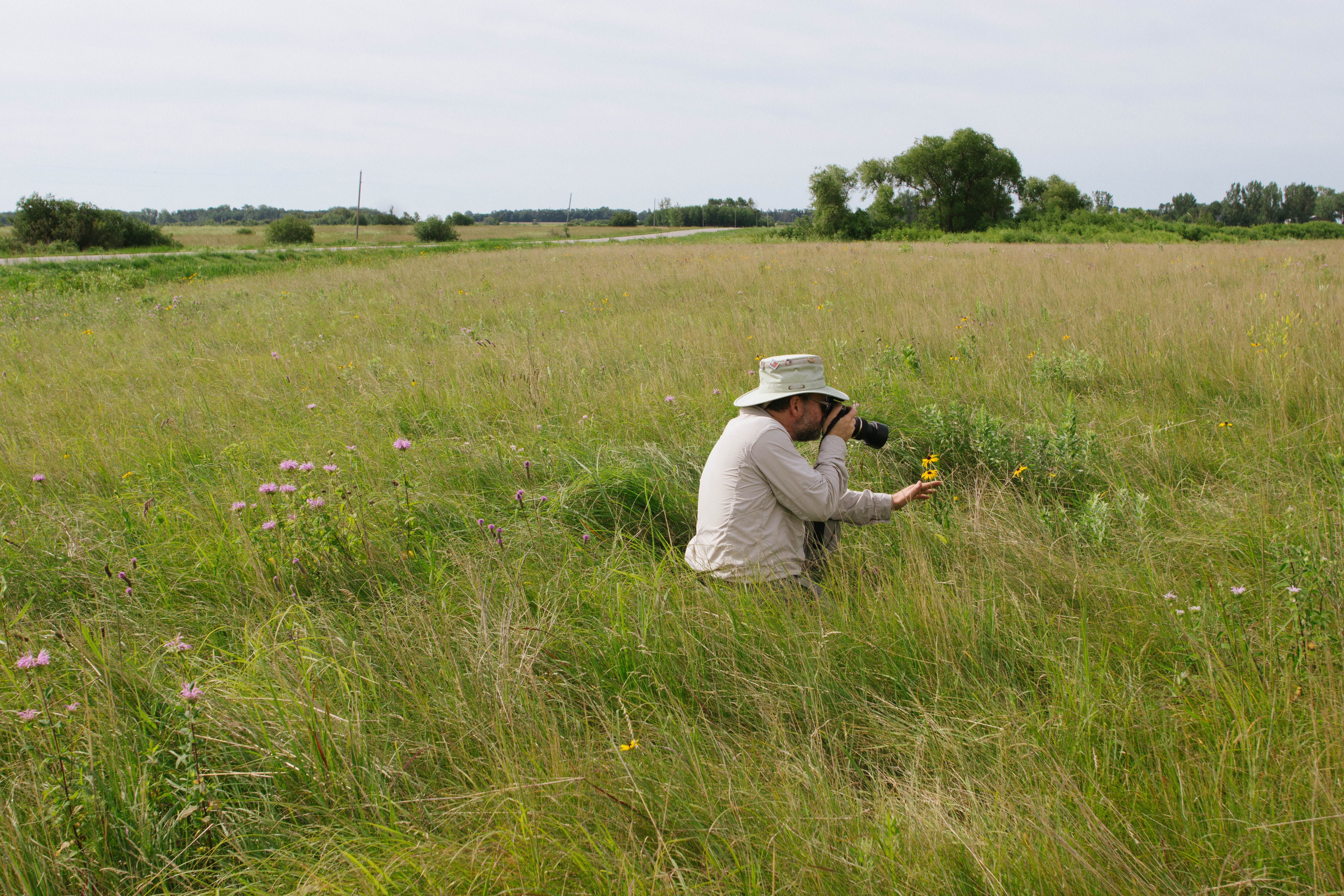 annual bee hunt! | longspur-3