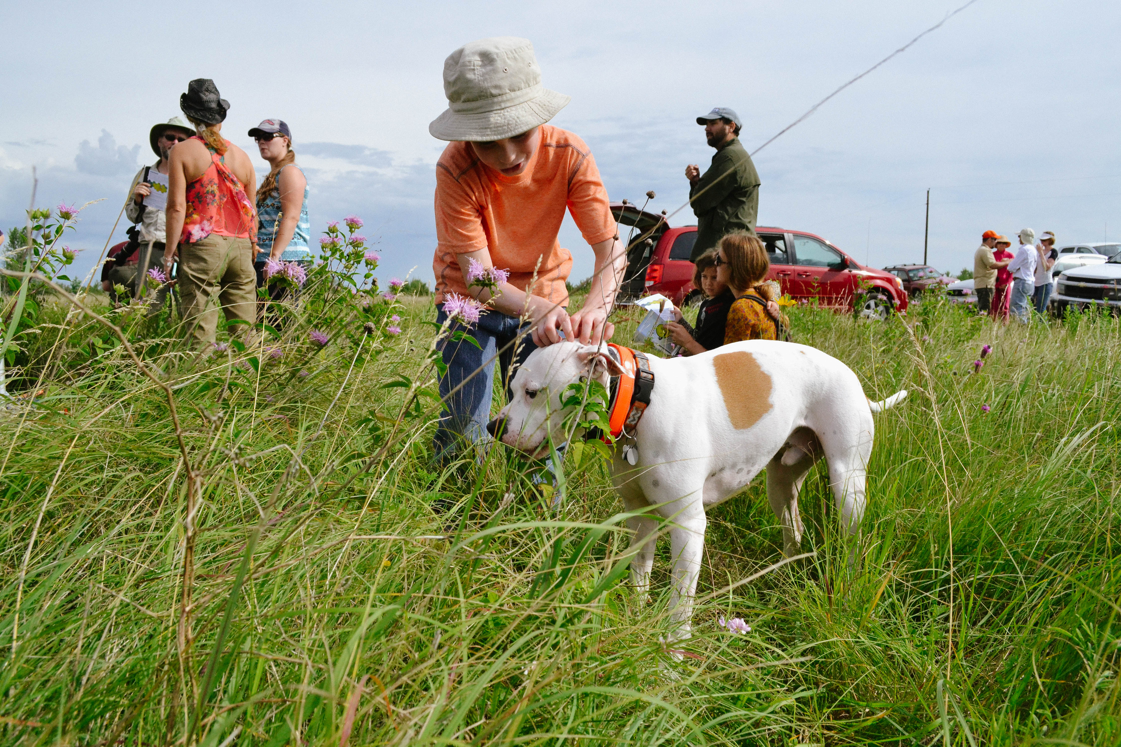 annual bee hunt! | longspur-3