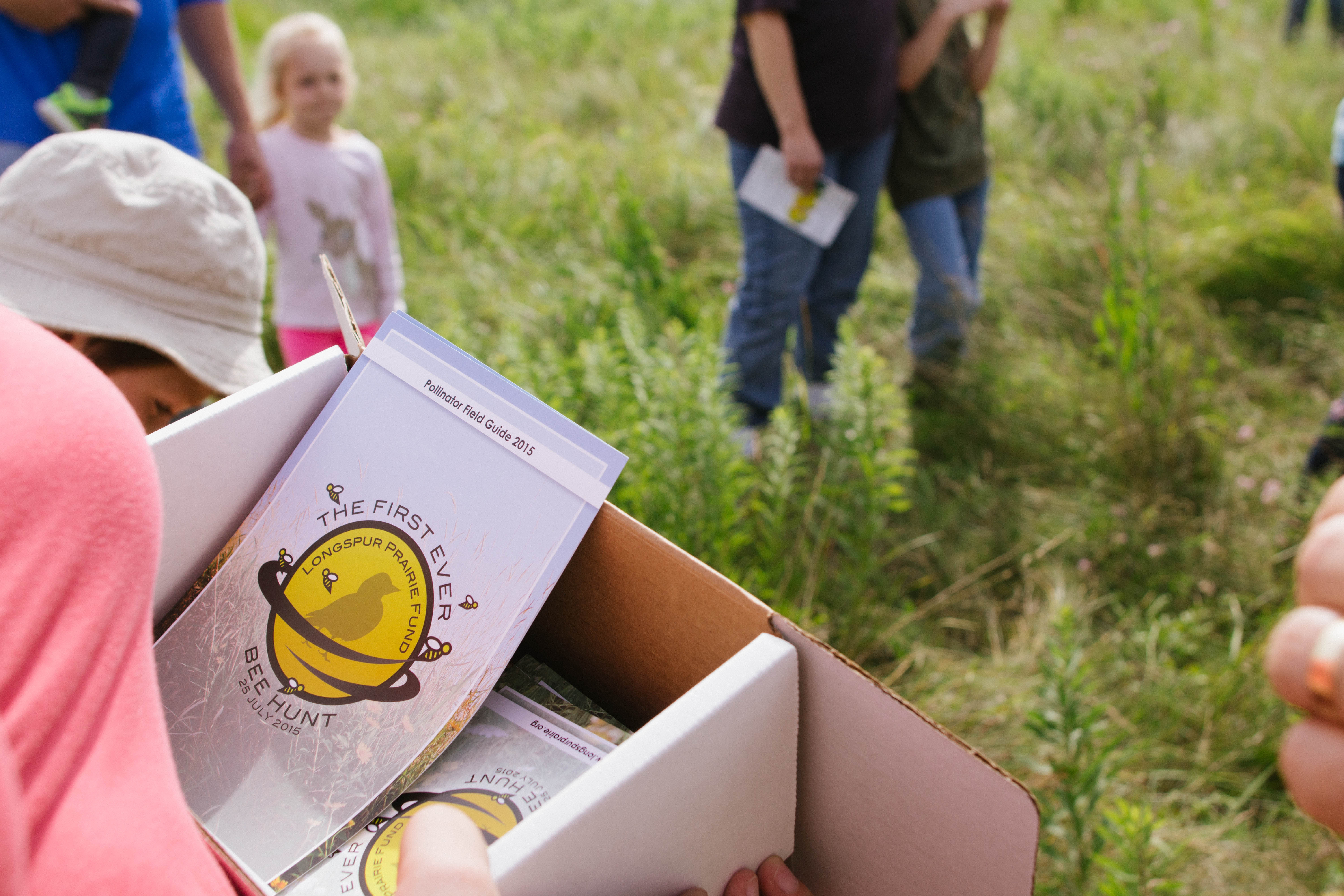 annual bee hunt! | longspur-3