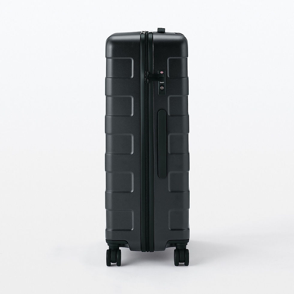 Hard Carry Case | MUJI Philippines