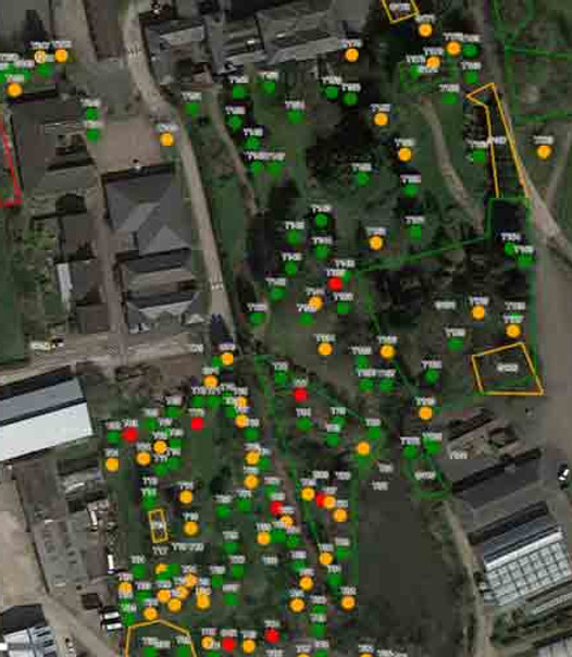 Tree Consultants & Surveyors | Tonks Brothers Tree Services