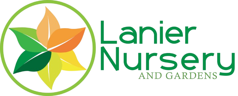 Plant Nursery | Lanier Nursery and Gardens – Flowery Branch, GA