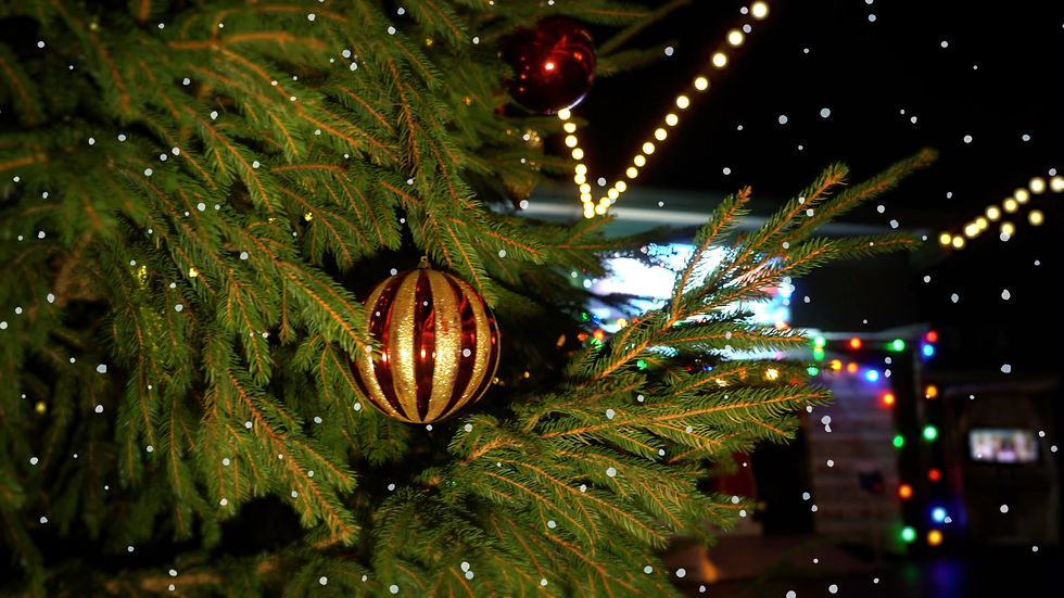 Magical Santa Express | Statfold