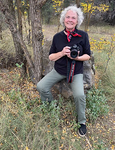 Stephanie Ames | backstreetgallery