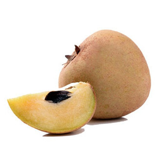 SOFEDA (সফেদা) | BANGLA FRESH