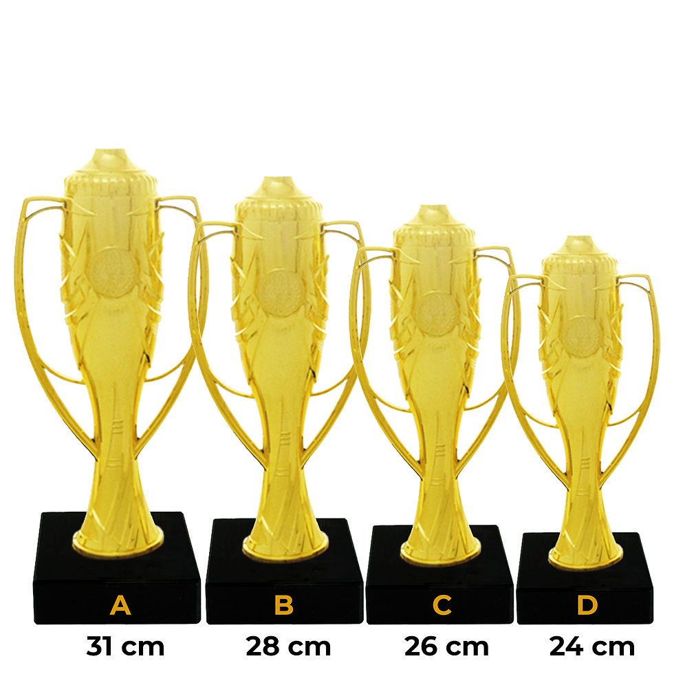 Trofeos deportivos | Pichincha | Trofeos Castro 3/6