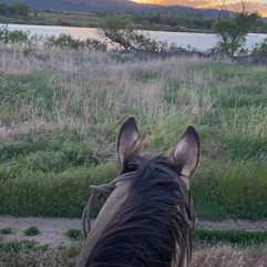 GALLERY | Bear Creek Stables
