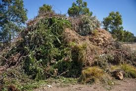 Garden & Green Waste Skip Bin Hire & Mini Skips | Eastern Skip Hire