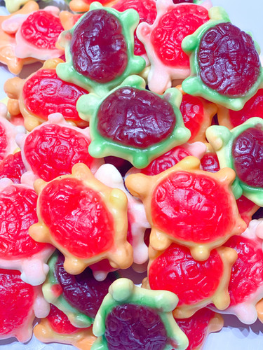 Jelly Filled Sea Turtles | Crave Box & Board