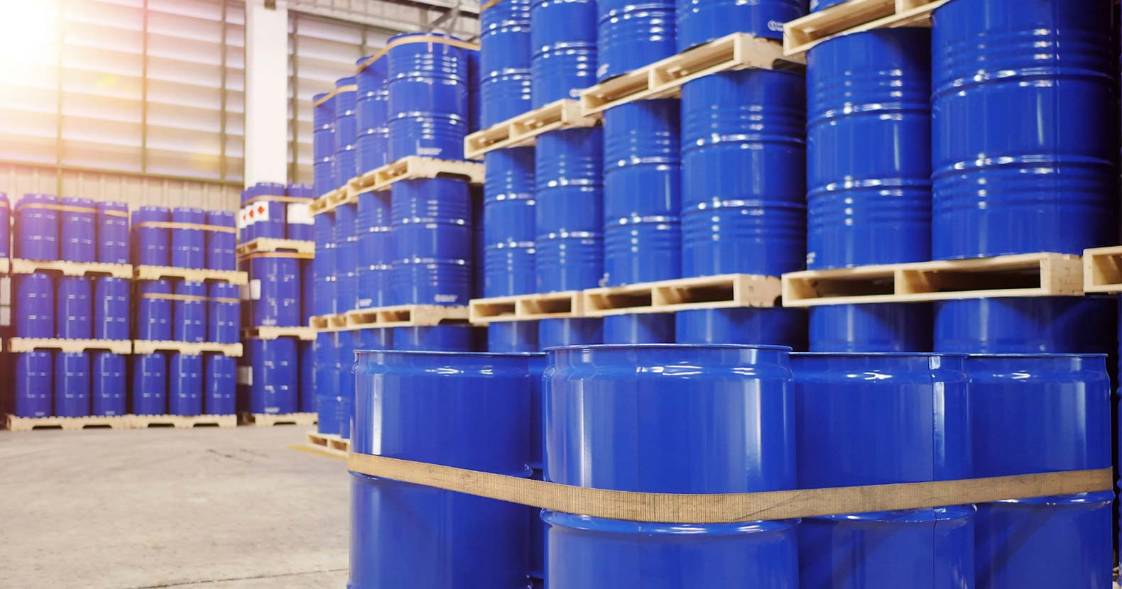 News & Events | Rebain International | The Netherlands