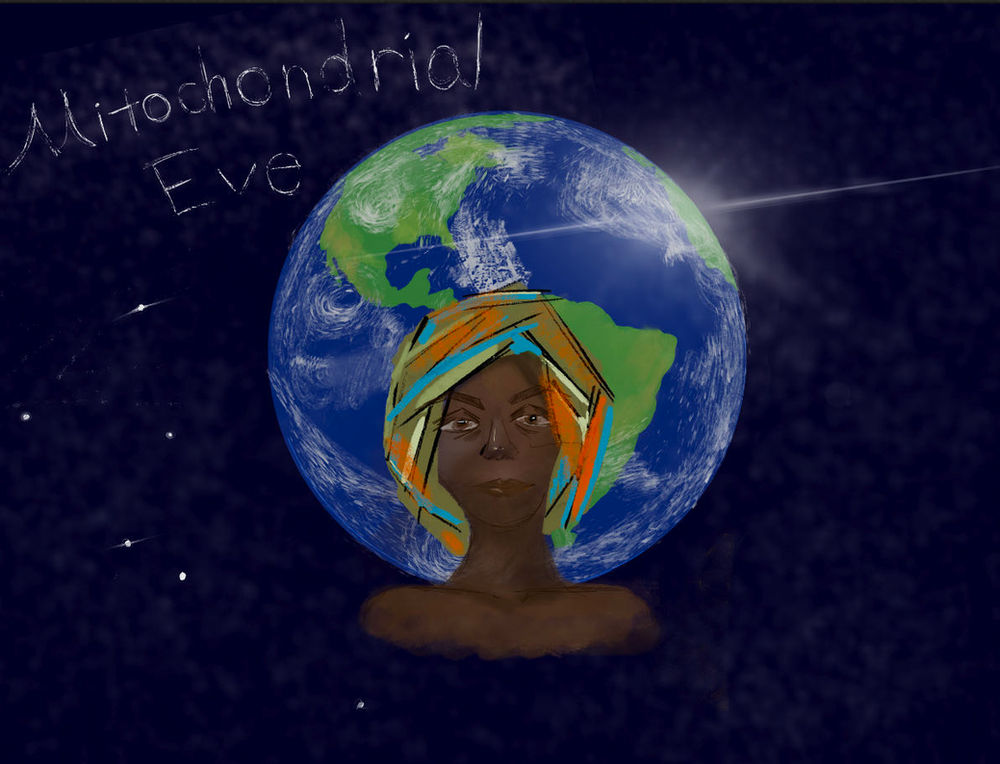 Mitochondrial Eve: Genesis