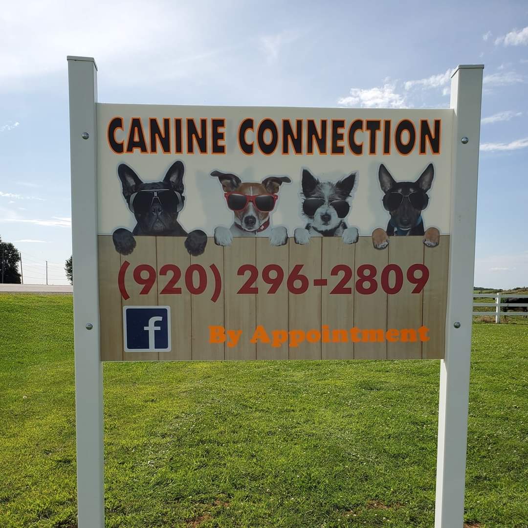 Join "Canine Connection" on the Spaces by Wix App